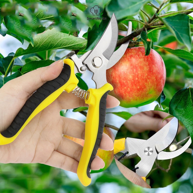 Jual Gunting Dahan Ranting Stek Bunga Taman Pruning Shears 8 Inch ...