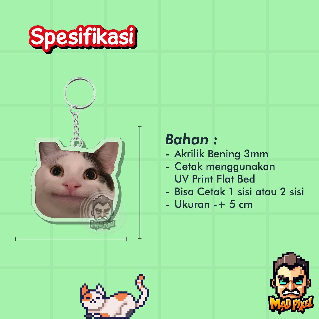 Jual Gantungan Kunci Meme Kucing Akrilik / Acrylic KeyChain Lucu Sad ...