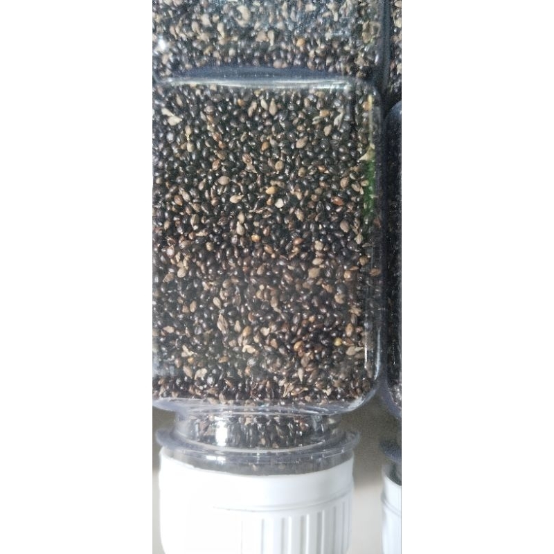 Jual GODEM BANGKOK | Shopee Indonesia