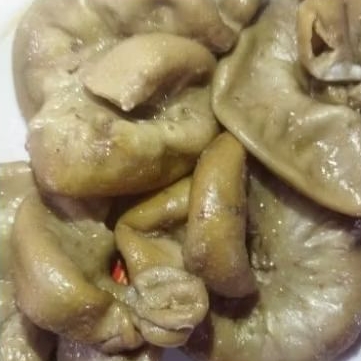 Jual UNGKEB TAMUSU | Shopee Indonesia