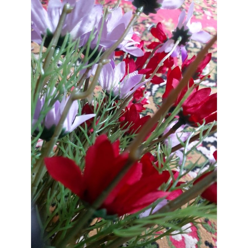 Jual bunga aster cemara artificial tangkai panjang | Shopee Indonesia