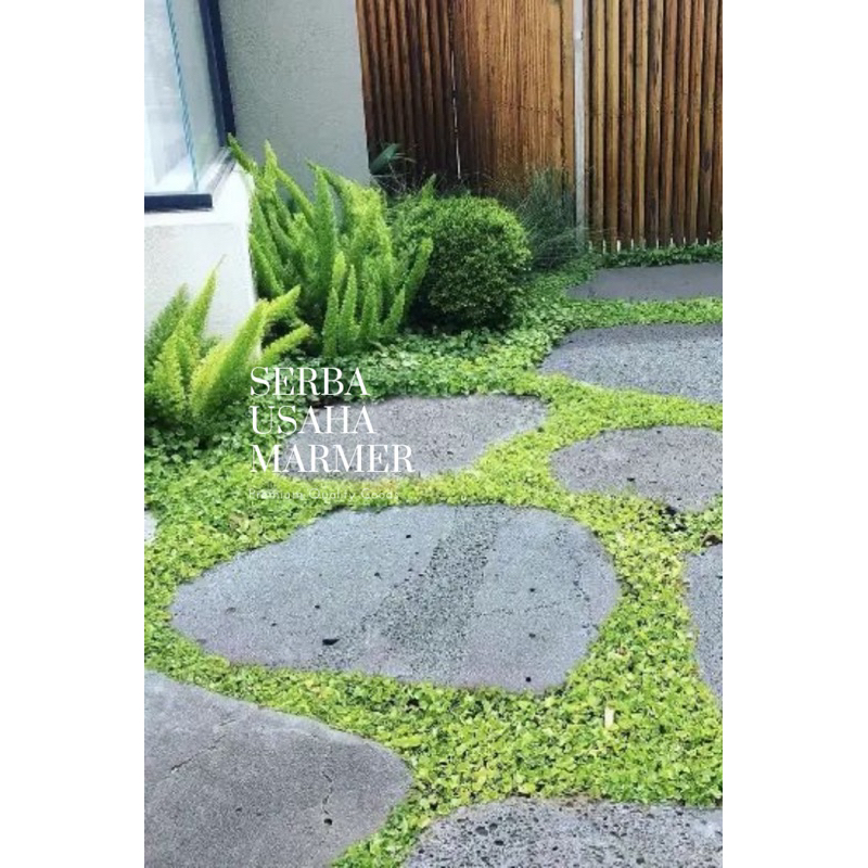 Jual PIJAKAN BATU TAMAN STEPPING STONE UKURAN 40cm | Shopee Indonesia