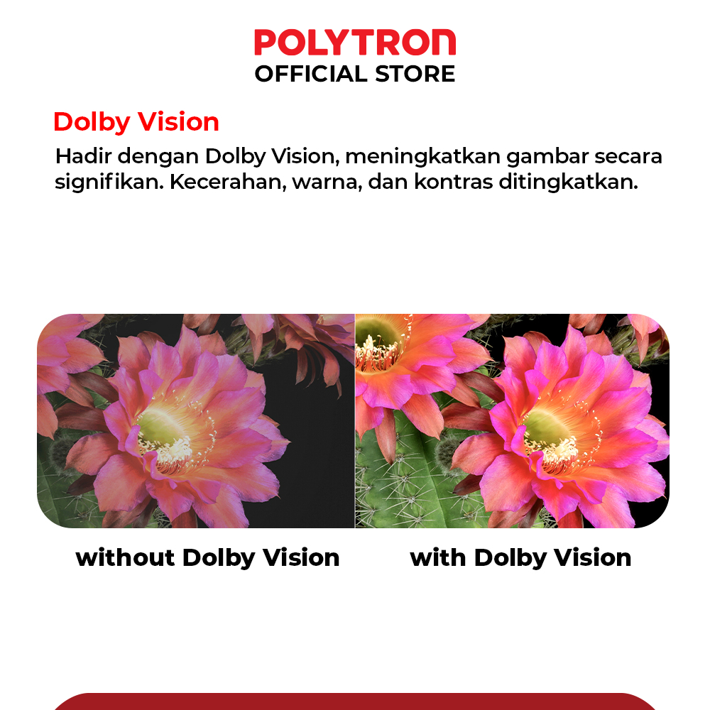 Jual POLYTRON 4K UHD Smart Google TV 65 Inch PLD 65UG5959 | Shopee ...