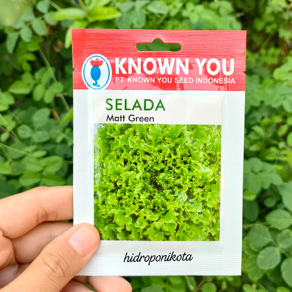 Jual KYS - Benih Selada Hijau Endive Matt Green isi 5gr - Merk Known You Seed | Shopee Indonesia