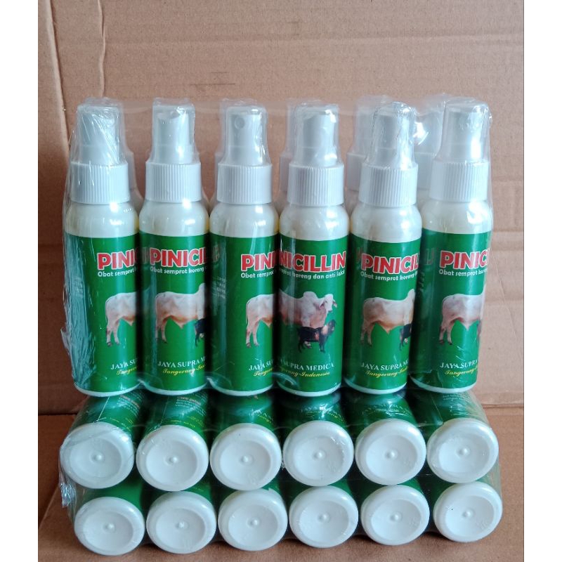 Jual pinisilin spray hewan 10 botol | Shopee Indonesia