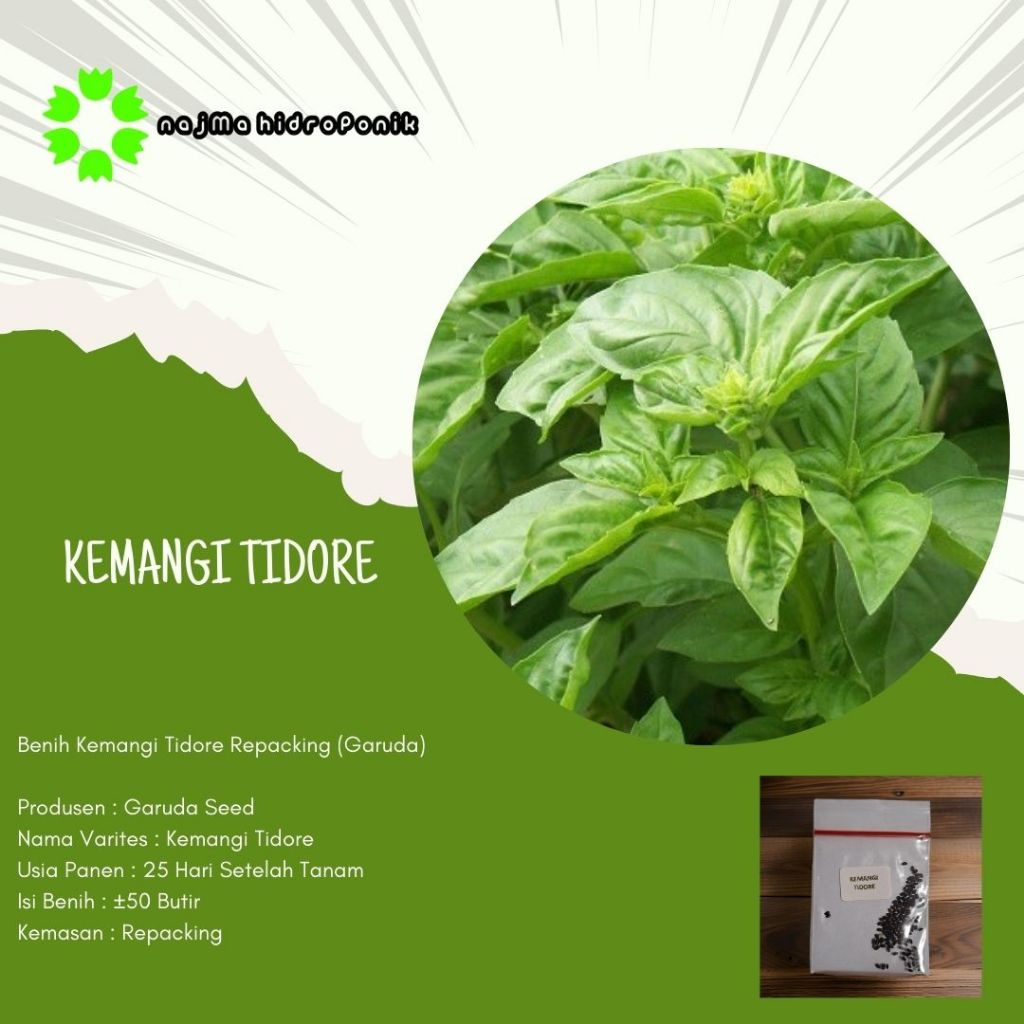 Jual 50 Butir Benih Kemangi Tidore Repacking (Garuda Seed) | Shopee ...