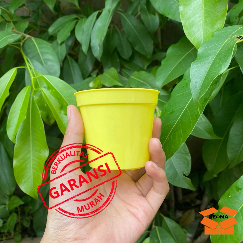 Jual Neoma Plastindo Pot 8cm Pot Bunga Tanaman Hias Warna Kuning Pot ...