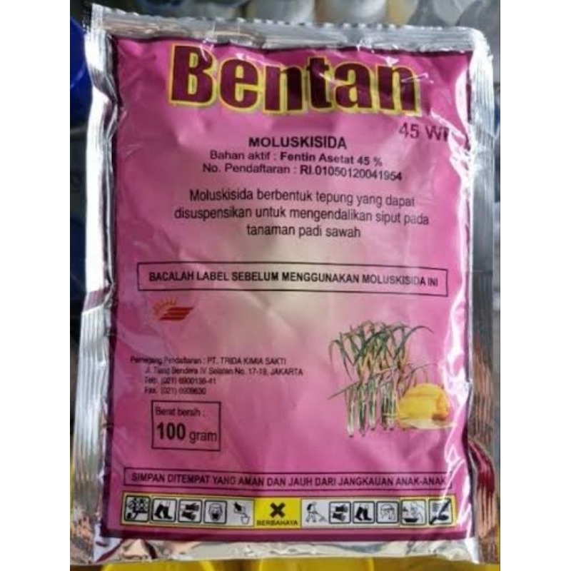 Jual Moluskisida BENTAN Merah 45 WP - 100 Gram | Shopee Indonesia