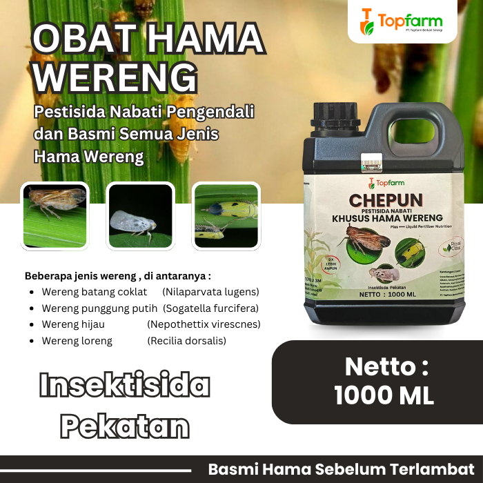 Jual Insektisida Topfarm / Obat Wereng Padi Paling Ampuh / Obat Wereng ...