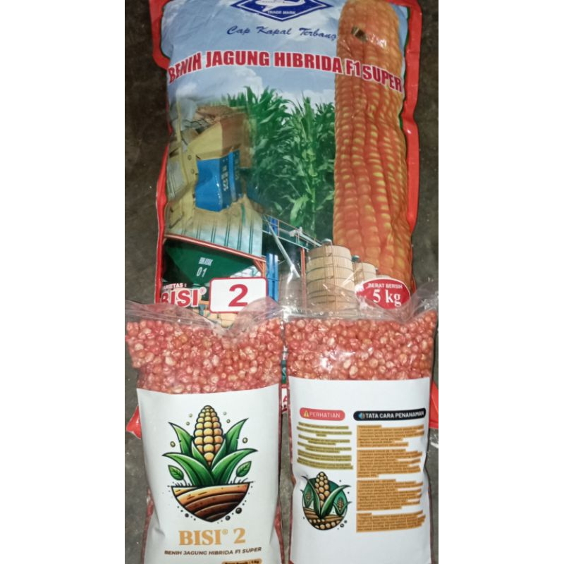 Jual Benih jagung hibrida F1 BISI 2,Repack 1kg | Shopee Indonesia