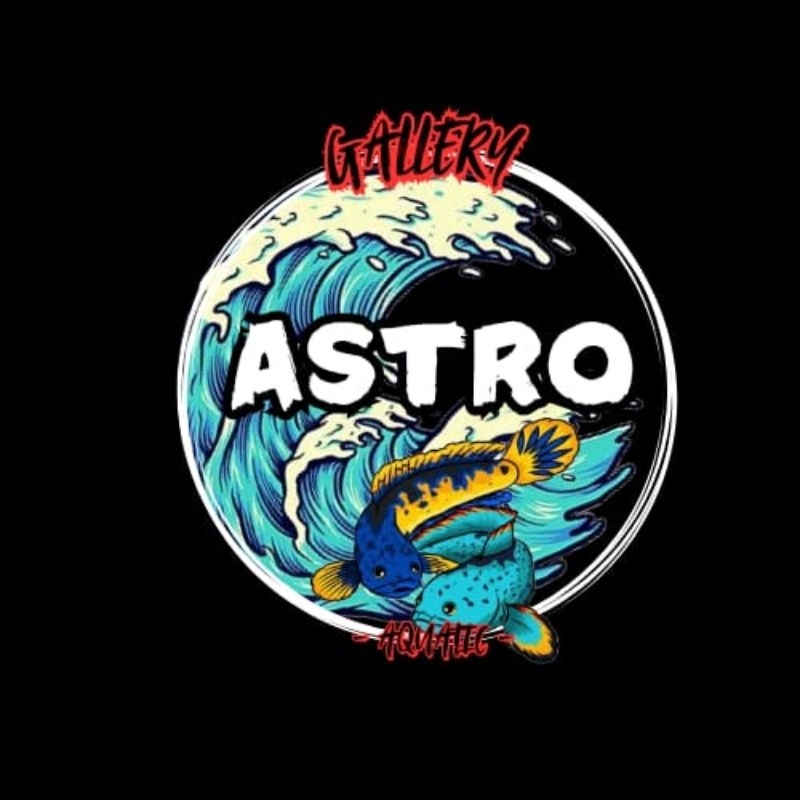 Jual HIASA STICKER CHANA Andrao gg | Shopee Indonesia