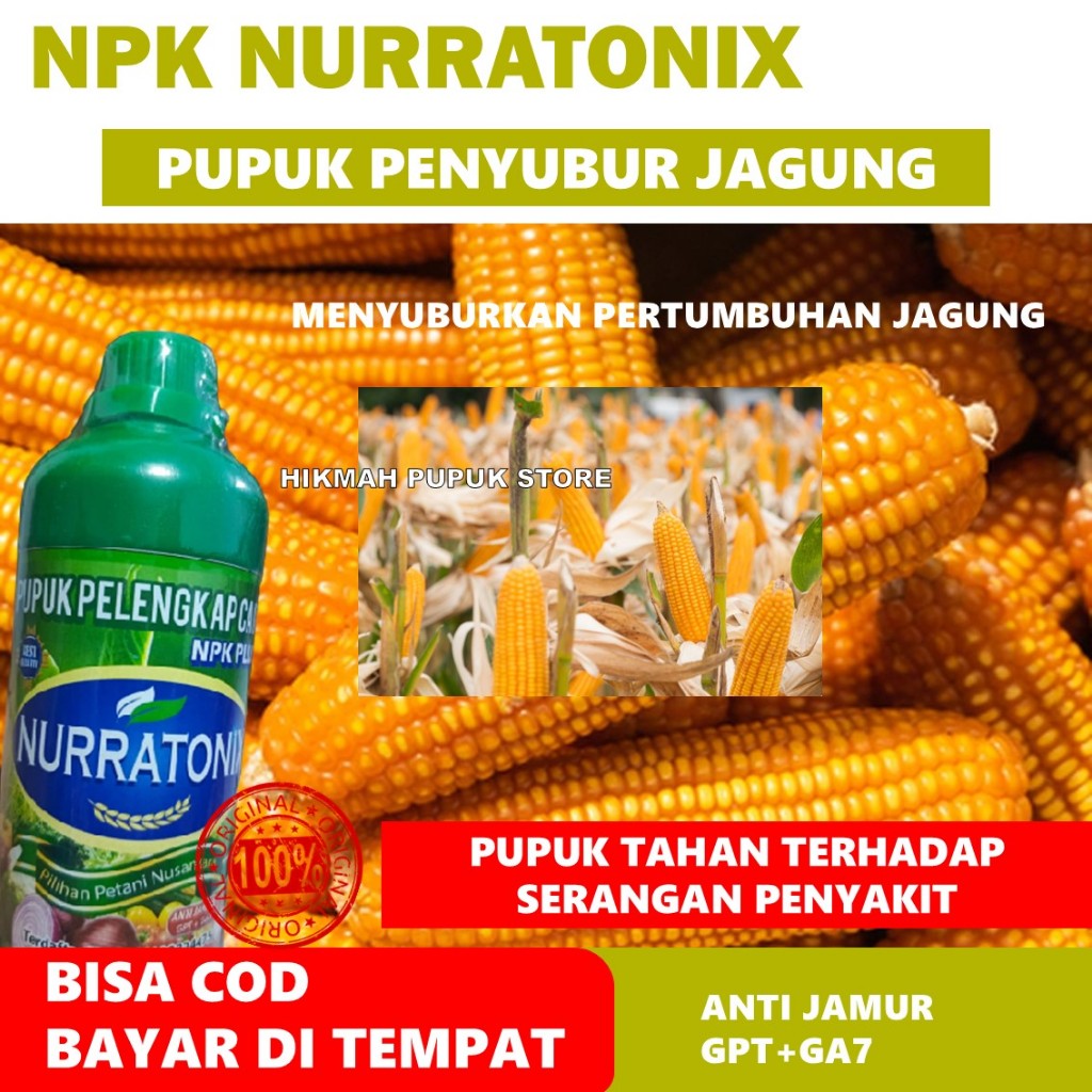 Jual 500 ML PUPUK PELENGKAP TANAMAN JAGUNG PALING BAGUS MELEBATKAN BUAH DAN DAUN JAGUNG NPK ...