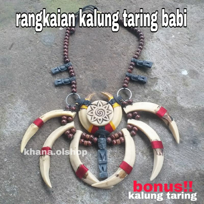 Jual Kalung Etnik Rangkaian Taring Babi Dayak Kalimantan | Shopee Indonesia