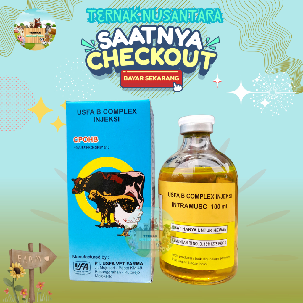 Jual USFA B COMPLEX INJEKSI 100 ML- VITAMIN B KOMPLEKS 100 ML HEWAN ...