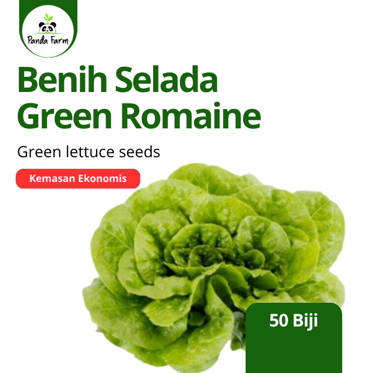 Jual Benih Selada Green Romaine Kemasan Ekonomis | Shopee Indonesia