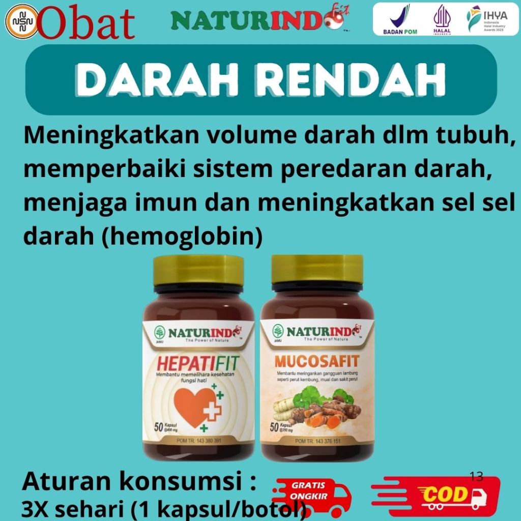 Jual Obat Darah Rendah Anemia, Anemia gangguan pencenakan, nafsu makan ...