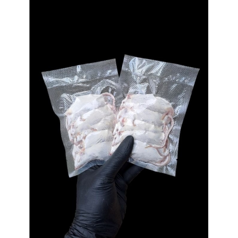 Jual TIKUS PUTIH JUMPER [ISI 10 EKOR] TIKUS PUTIH BEKU / FROZEN MICE ...