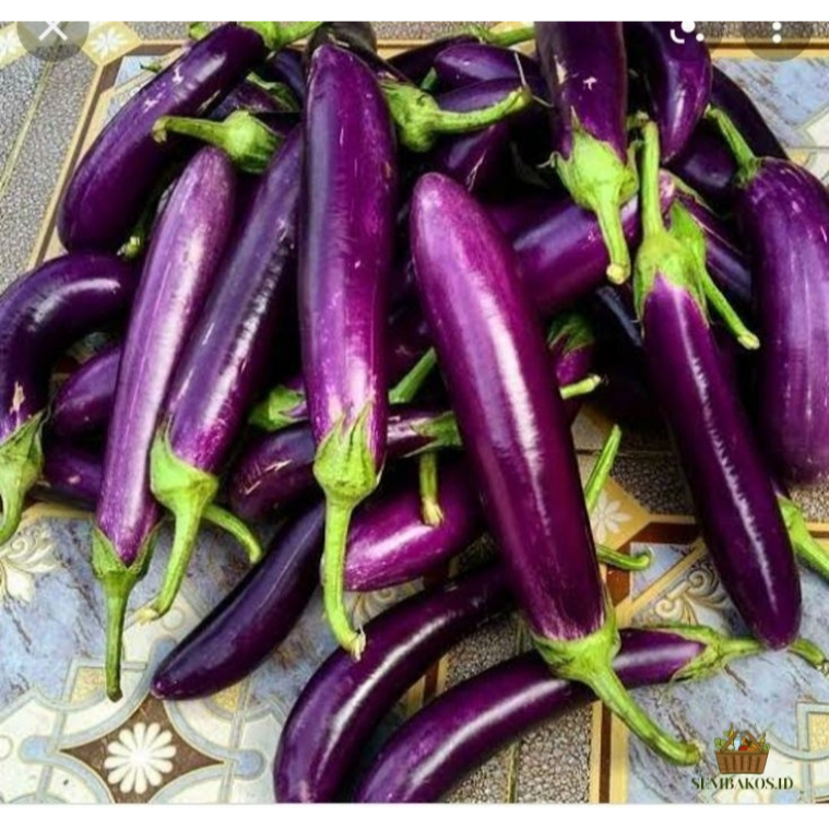 Jual INSTAN- Terong Ungu | Sayur Terong Ungu perkg | Shopee Indonesia