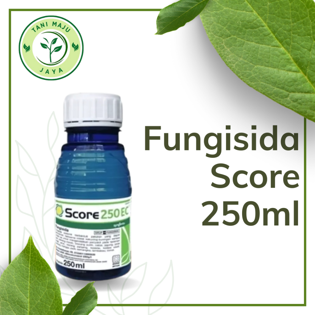 Jual Score 250EC 250ml Fungisida Syngenta Obat Ampuh | Shopee Indonesia