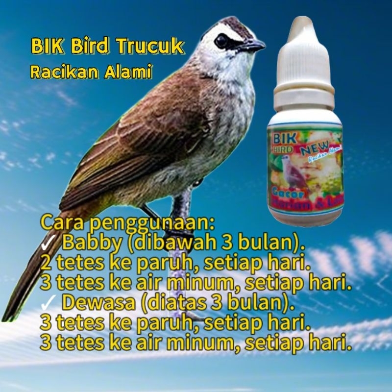 Jual Vit Alami Trucuk. BIK Bird Trucuk Gacor Ropel. Suplemen Alami ...