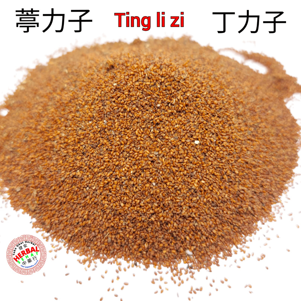 Jual Ting Li Zi - Ding Li Zi - LEPIDIUM DESCURAINIA SEED SEEDS | Shopee ...