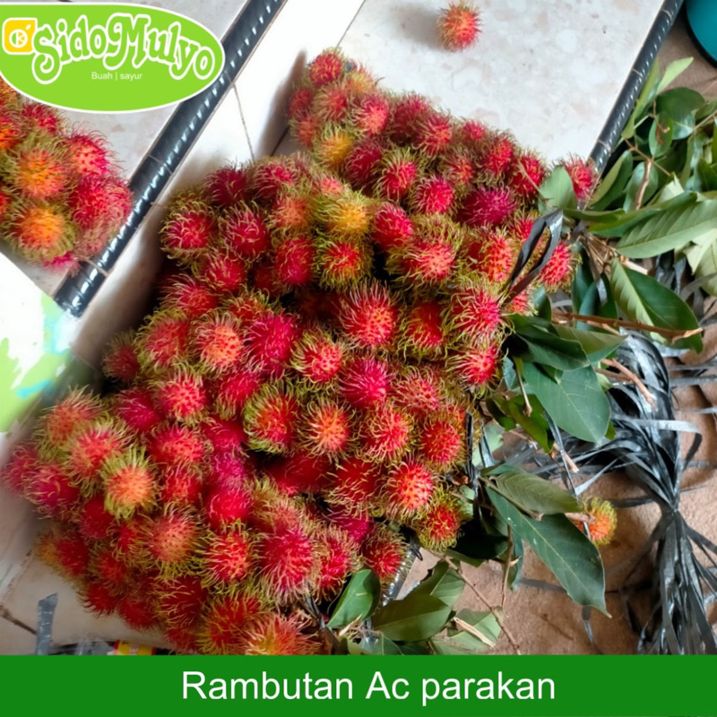 Jual Buah Rambutan AC ( 1 gedeng isi 2 ikat ) manis | ud sidomulyo ...