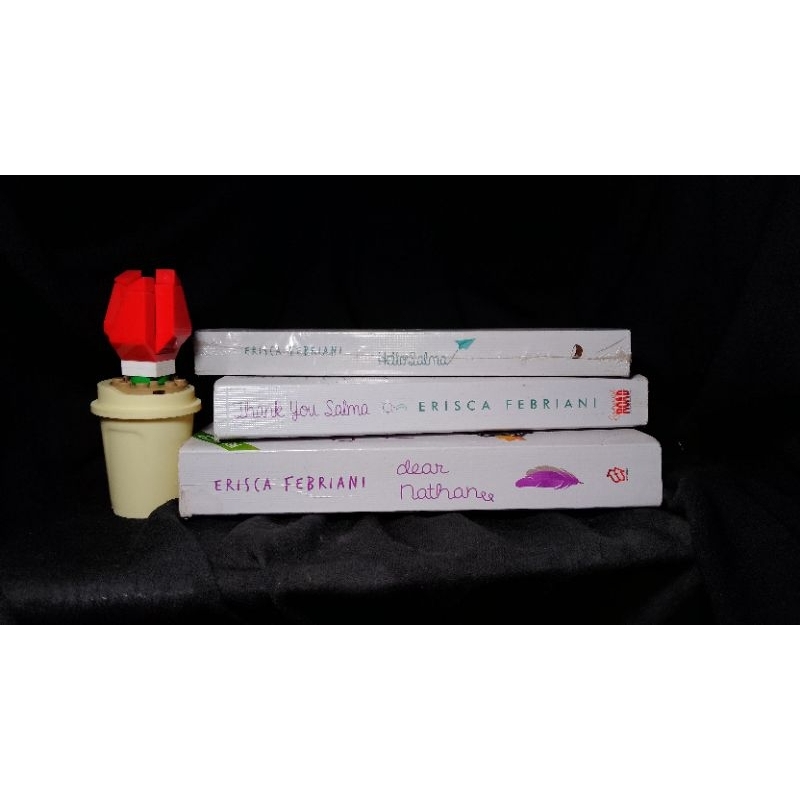 Jual Erisca Febriani - Dear Nathan / Hello Salma / Thank You Salma SET | Shopee Indonesia