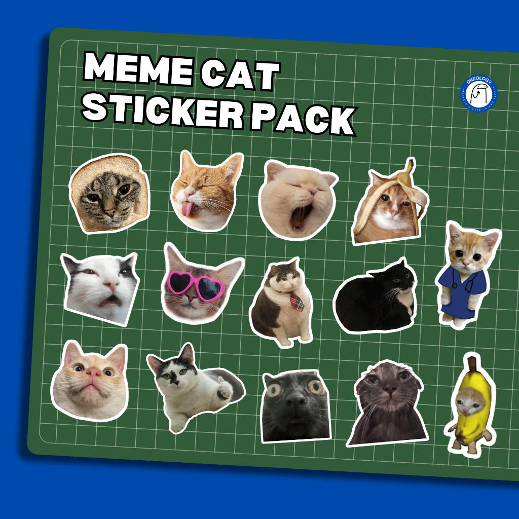 Jual Sticker kucing meme stiker vinyl glossy stickermemecat ...