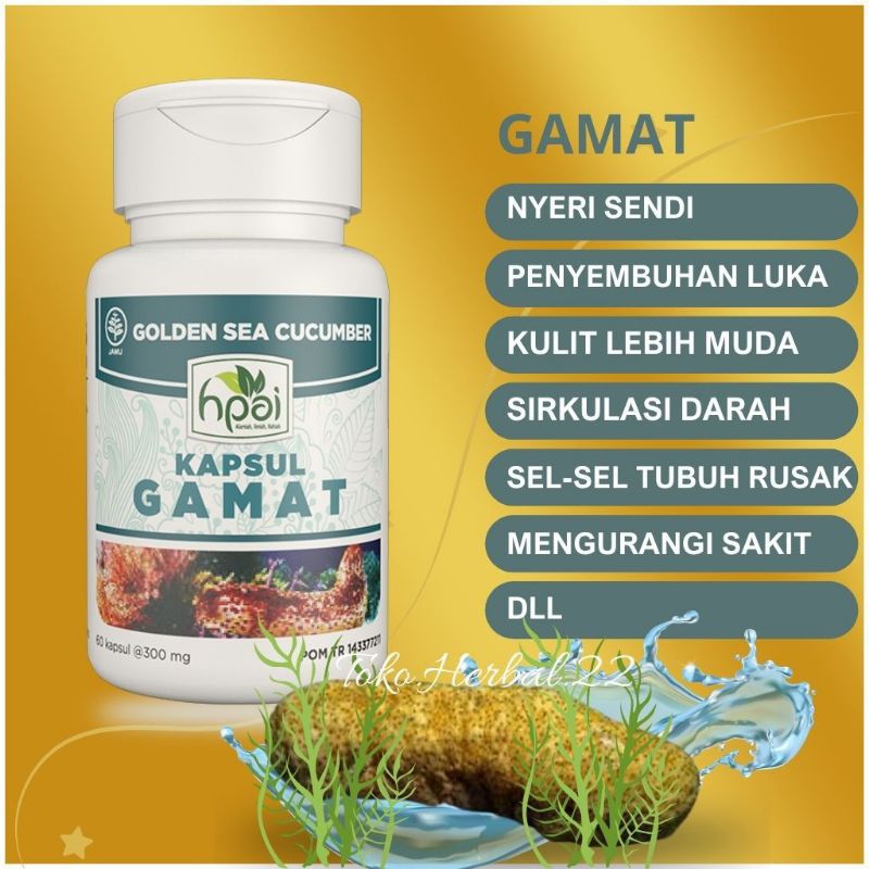 Jual GAMAT KAPSUL | Shopee Indonesia