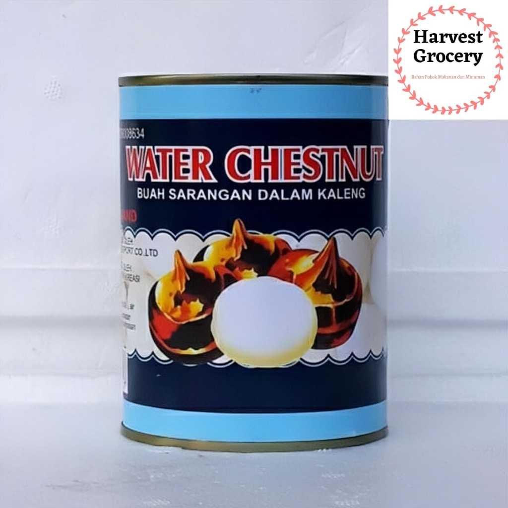 Jual Water Chestnut 567gr | Shopee Indonesia