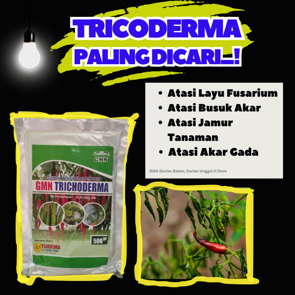 Jual GMN-TRICHODERMA 500 Gram,GMN-TRICHODERMA Fungisida Hayati 500 Gram ...
