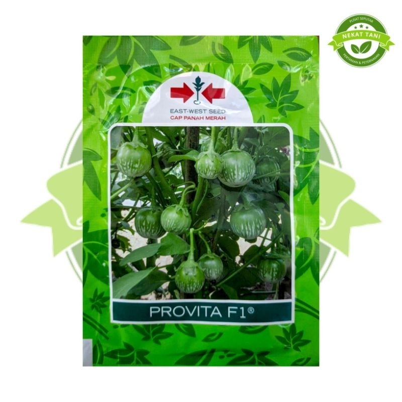 Jual [ORI&TERMURAH] BENIH TERONG LALAP BULAT PROVITA F1 CAP PANAH MERAH ...