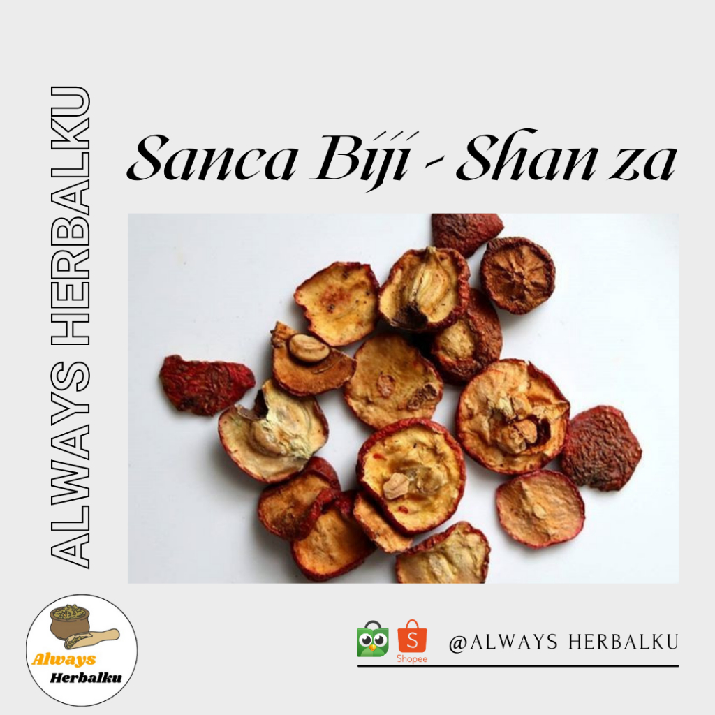 Jual sanca biji / shanza biji / shan zha biji / hawthorn berry (100gr ...
