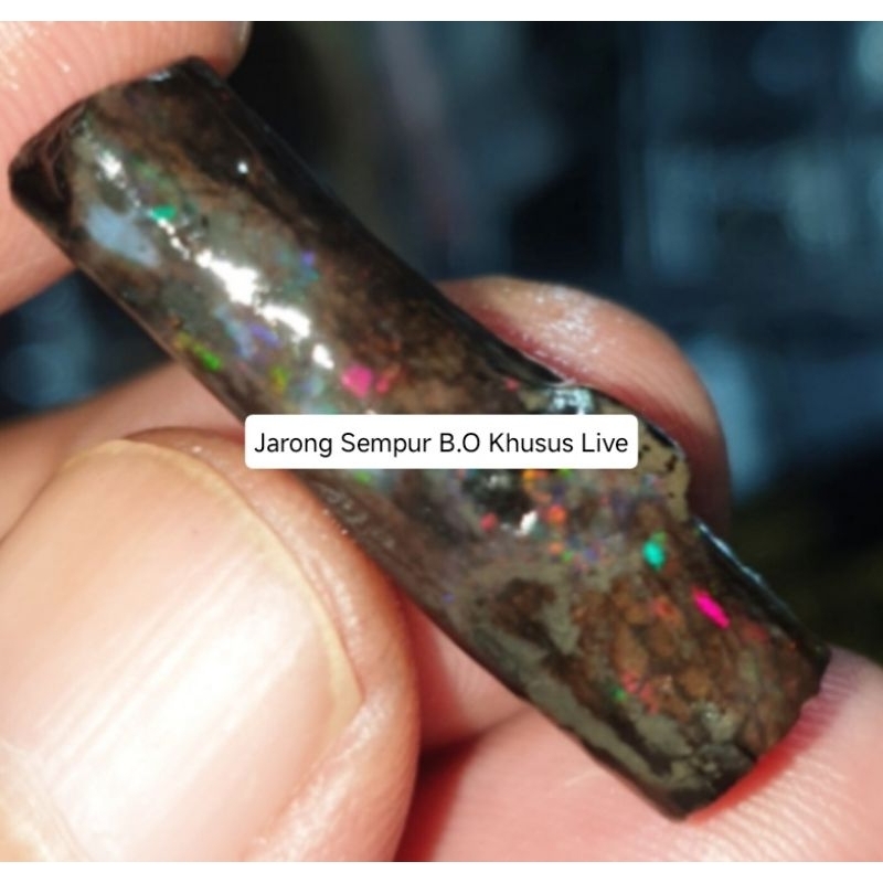 Jual Jarong Black Opal Sempur Berjarong | Shopee Indonesia