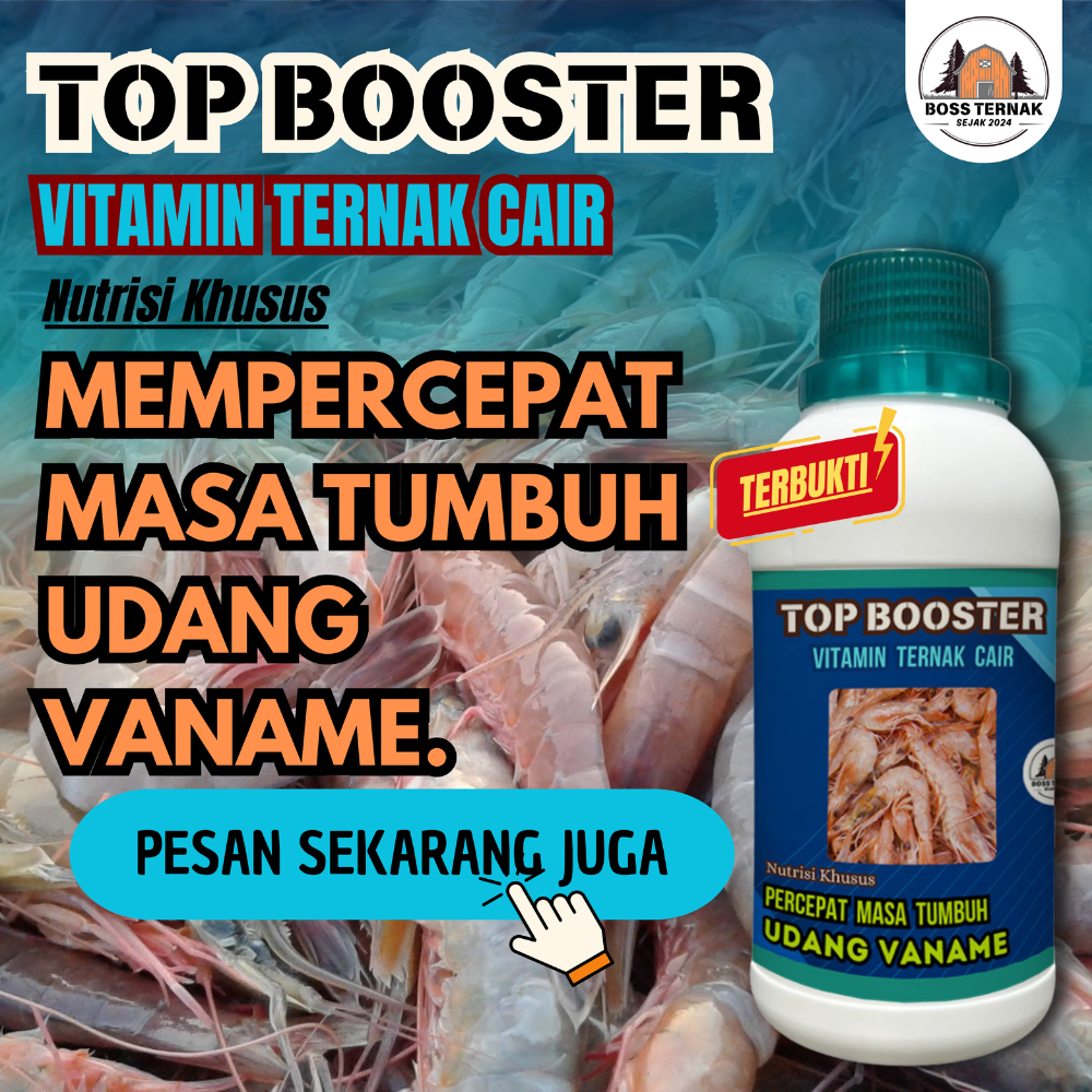 Jual Amino Booster Probiotik Udang Vaname Bantu Mempercepat Masa Tumbuh ...