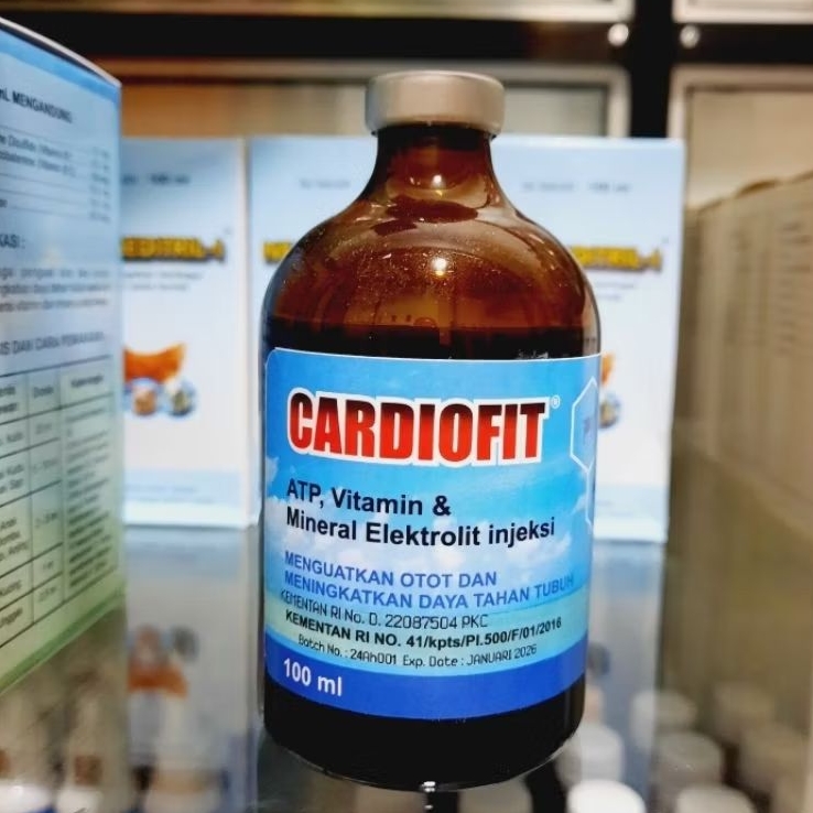 Jual CARDIOVIT ATP Injeksi Vitamin Mineral Elektrolit | Shopee Indonesia