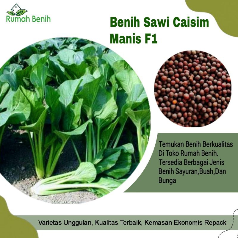 Jual Benih Sayuran Sawi Caisim Shinta Manis F1 / Bibit Sawi Manis ...