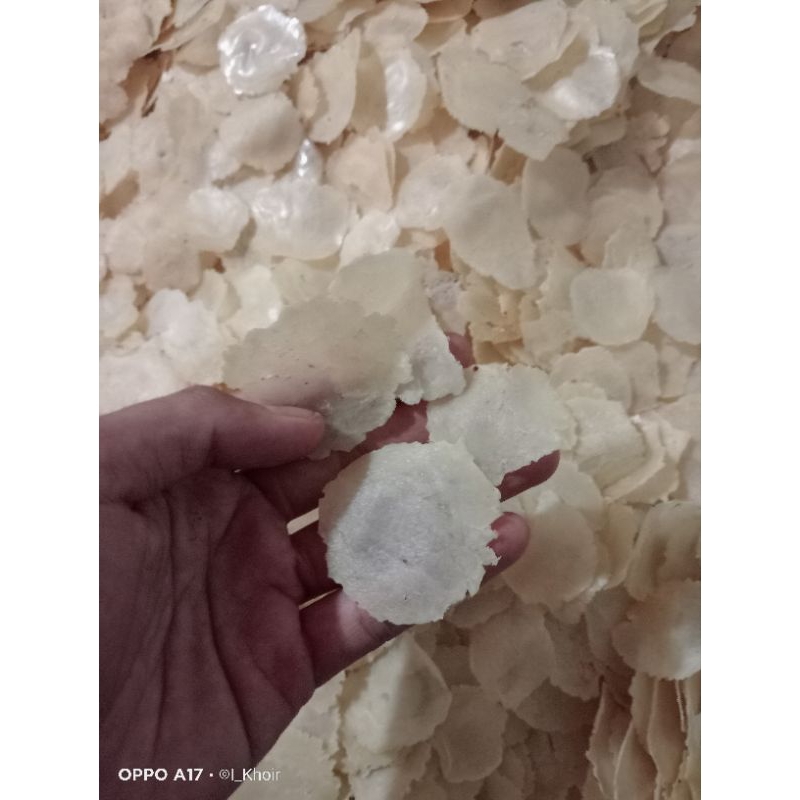 Jual EMPING MLINJO SP 1kg Kecil-kecil isi 1-2 biji mlinjo khas Limpung ...