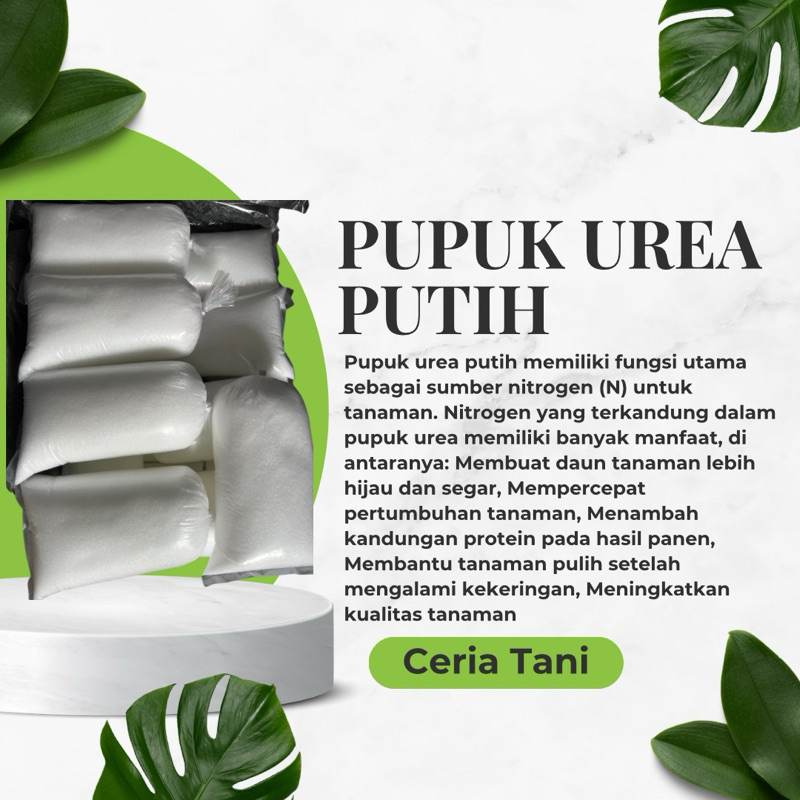 Jual PUPUK UREA PUTIH 1KG untuk menyuburkan daun atau tanaman hias ...