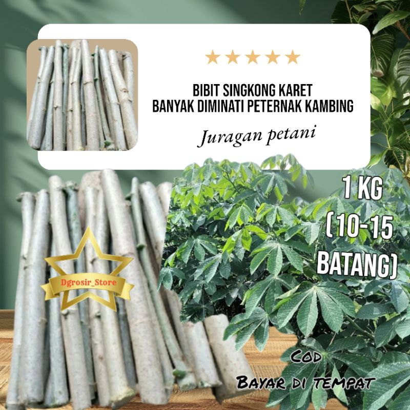 Jual 1kg pakan ternak kambing singkong karet unggul | Shopee Indonesia