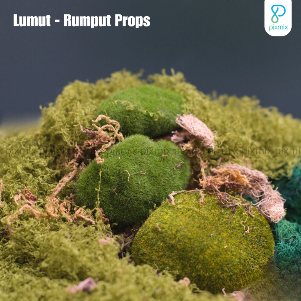 Jual Props Properti Foto Produk - Batu Lumut / Rumput Pixmix | Shopee ...
