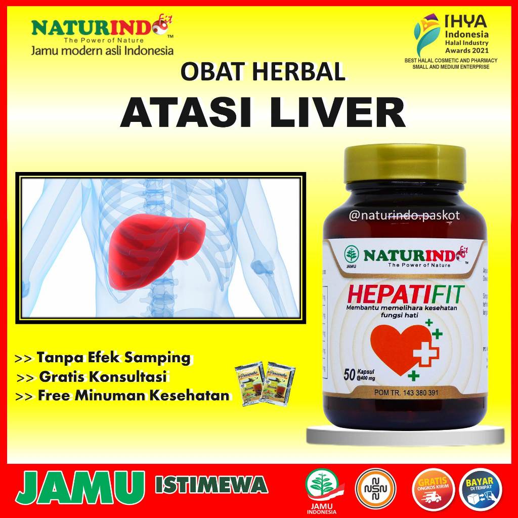 Jual Suplemen Liver Herbal Bengkak Perut Paling Manjur Hepatitis Herbal ...