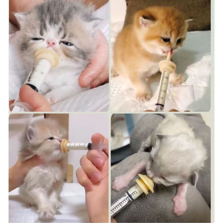 Jual DOT KUCING BARU LAHIR PET MIRACLE NIPPLE DOT KITTEN ANAK KUCING ...