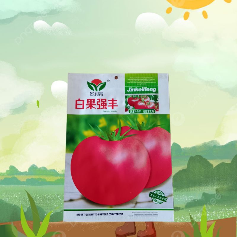 Jual 200 BUTIR BENIH TOMAT MERAH UKURAN BESAR IMPORT (KEMASAN ORIGINAL ...