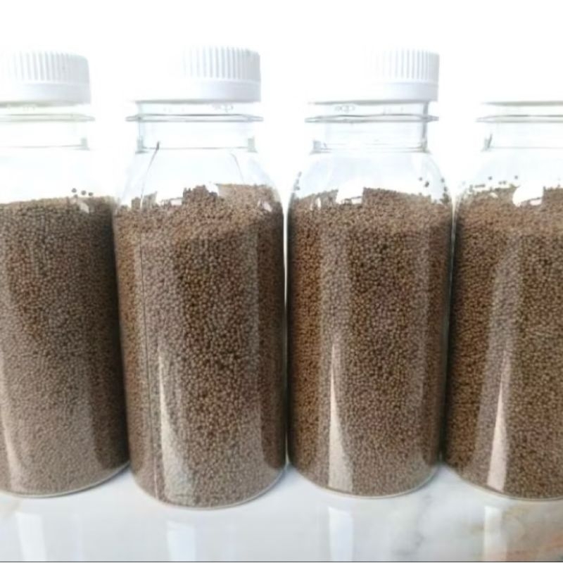 Jual pakan Udang hias Ikan Cupang Hias Tinggi Protein 100 Gram | Pakan ...