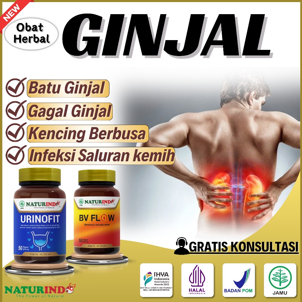Jual Obat Batu Ginjal Penghancur Batu Ginjal Kencing Batu Hancur Tanpa Operasi Sakit Gagal ...