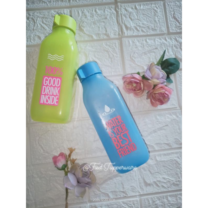 Jual ECO BOTOL Tupperware 500ml | Shopee Indonesia