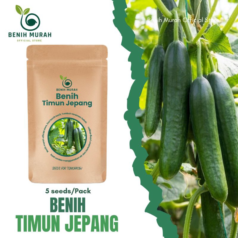 Jual Benih Sayuran Buah Timun Jepang / Benih Sayur Unggul | Shopee ...