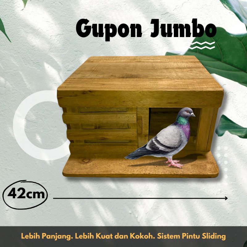 Jual MKC Letsgoo | Gupon Merpati Jumbo Kandang Burung Dara Pagupon ...