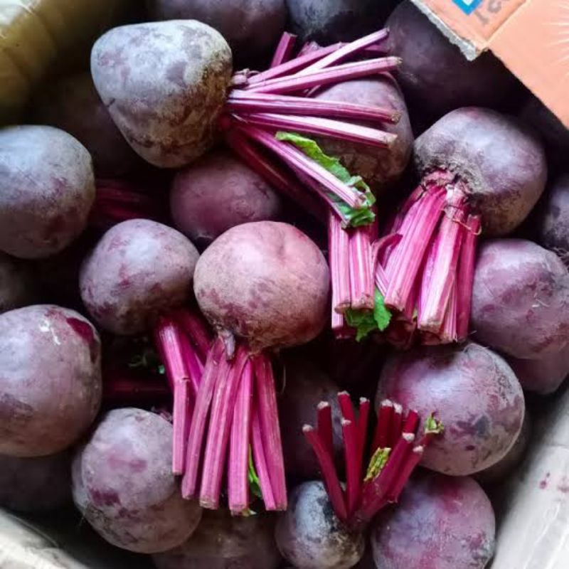 Jual Buah Bit 1kg | Shopee Indonesia